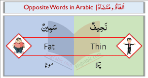50 Common Opposite Words in Arabic With English and Urdu Meanings