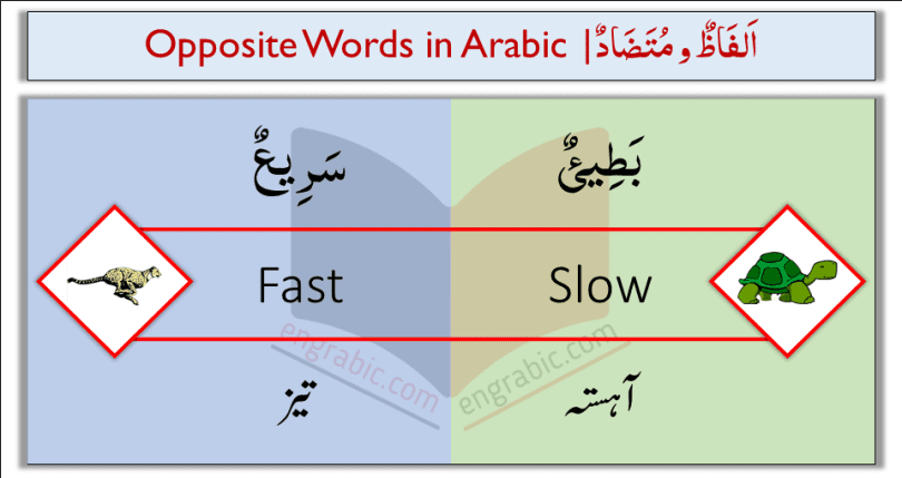 50 Common Opposite Words in Arabic With English and Urdu Meanings