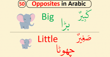 Vegetables in Arabic with English and Urdu Translation | Arabic ...