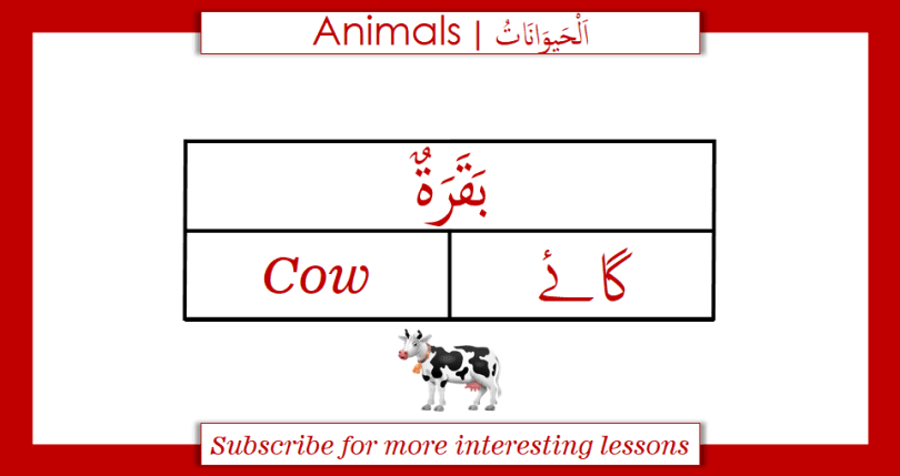 Animals Names in Arabic English and Urdu | Animals Names for Kids