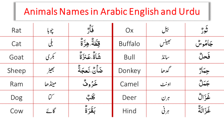 Animals Names in Arabic English and Urdu | Animals Names for Kids