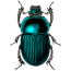 50 Insects Names in English with Pictures - Engrabic